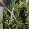 Cutting & Shaping – Topiary Arts