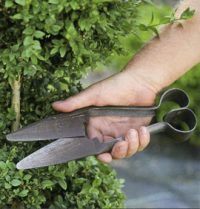 Care & Maintenance – Topiary Arts